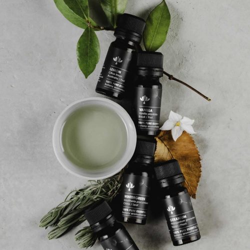 Botany Essentials